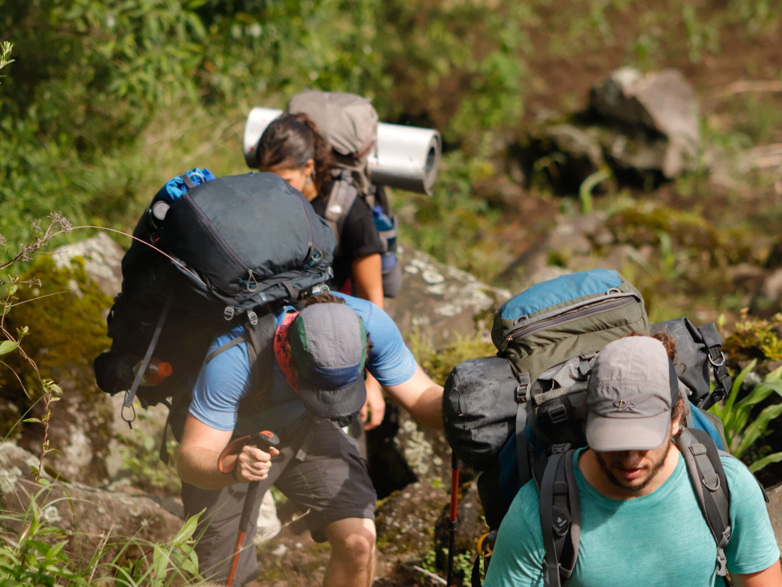 What Is Trekking? Explaining the Meaning of Trekking vs Hiking - Kayak ...